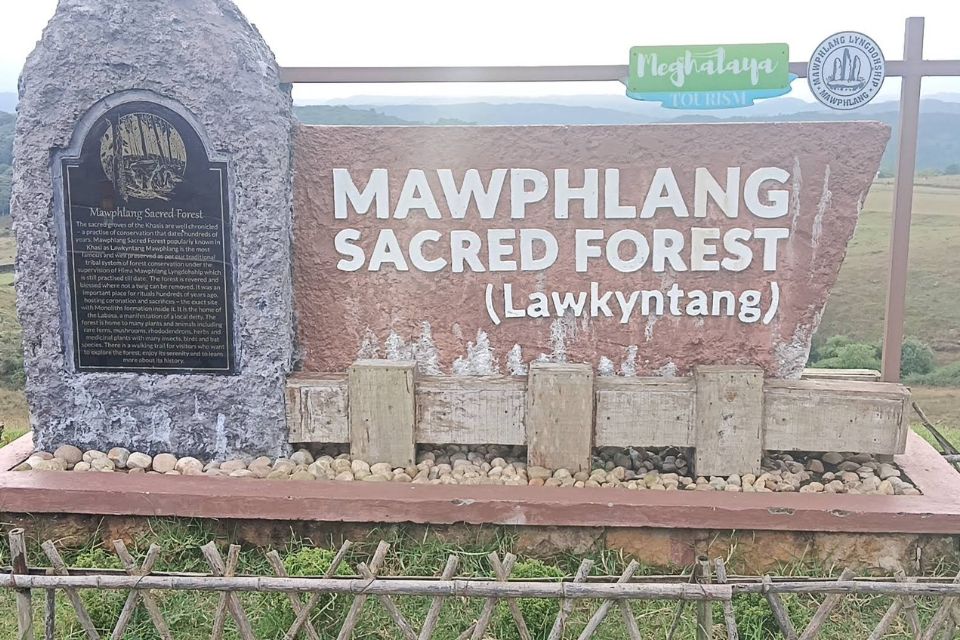 Mawphlang Sacred Forest Shillong