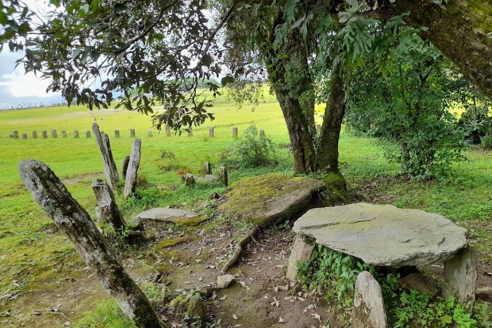 Mawphlang Sacred Forest Shillong